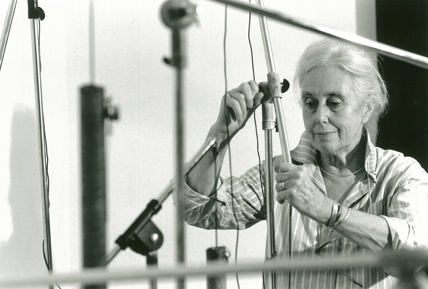 Joan Brassil: The Resonant Image – ACCA