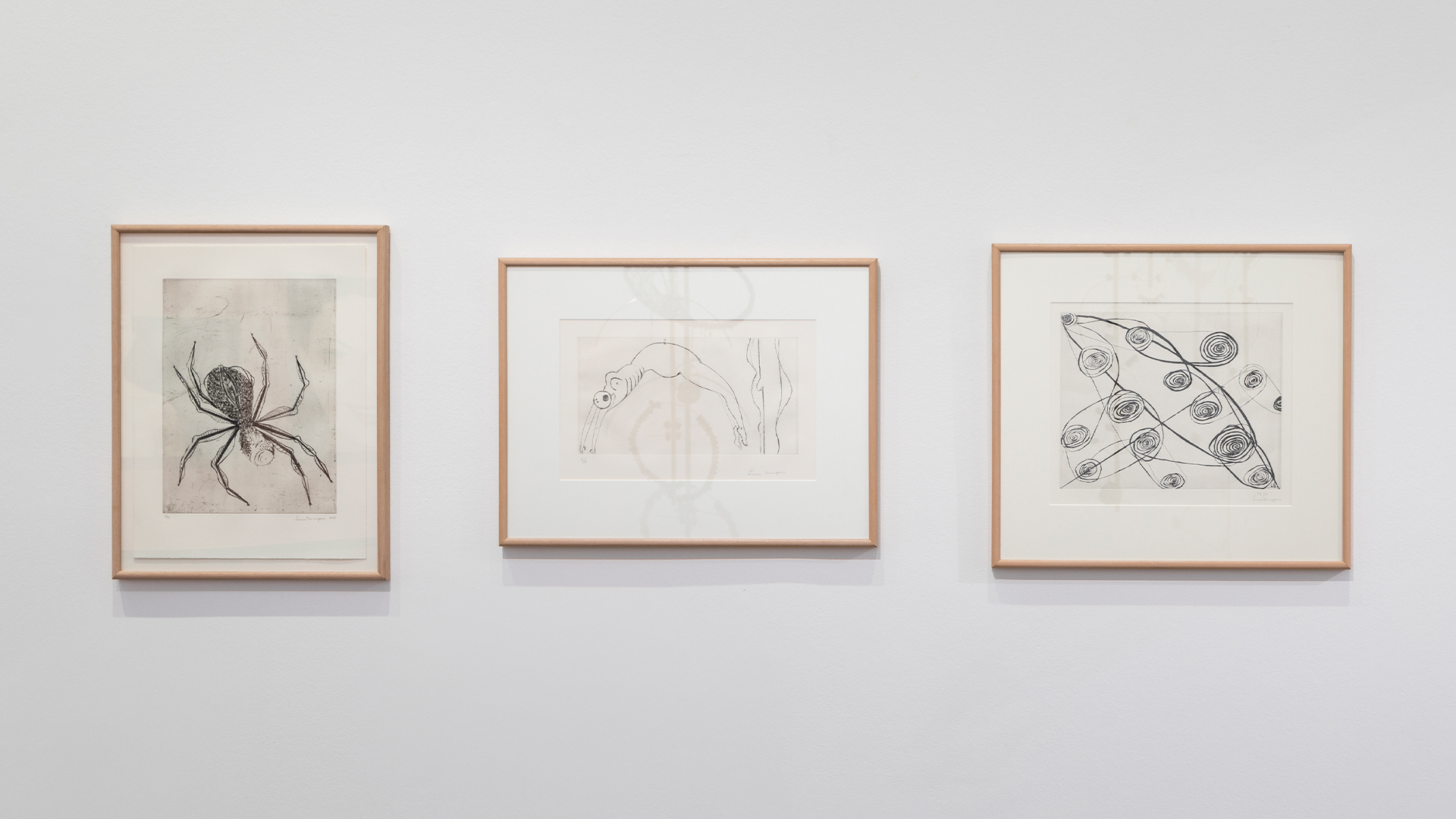 From the other side – ACCA